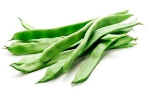 Mongeta Tendra | VeritFruit